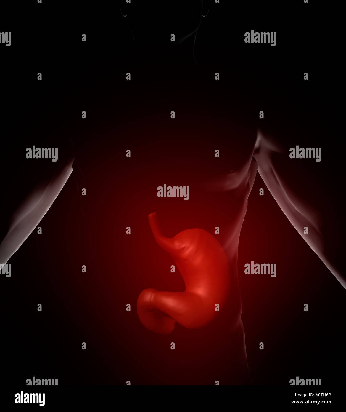 illustration of man and Stomach Stock Photo - Alamy