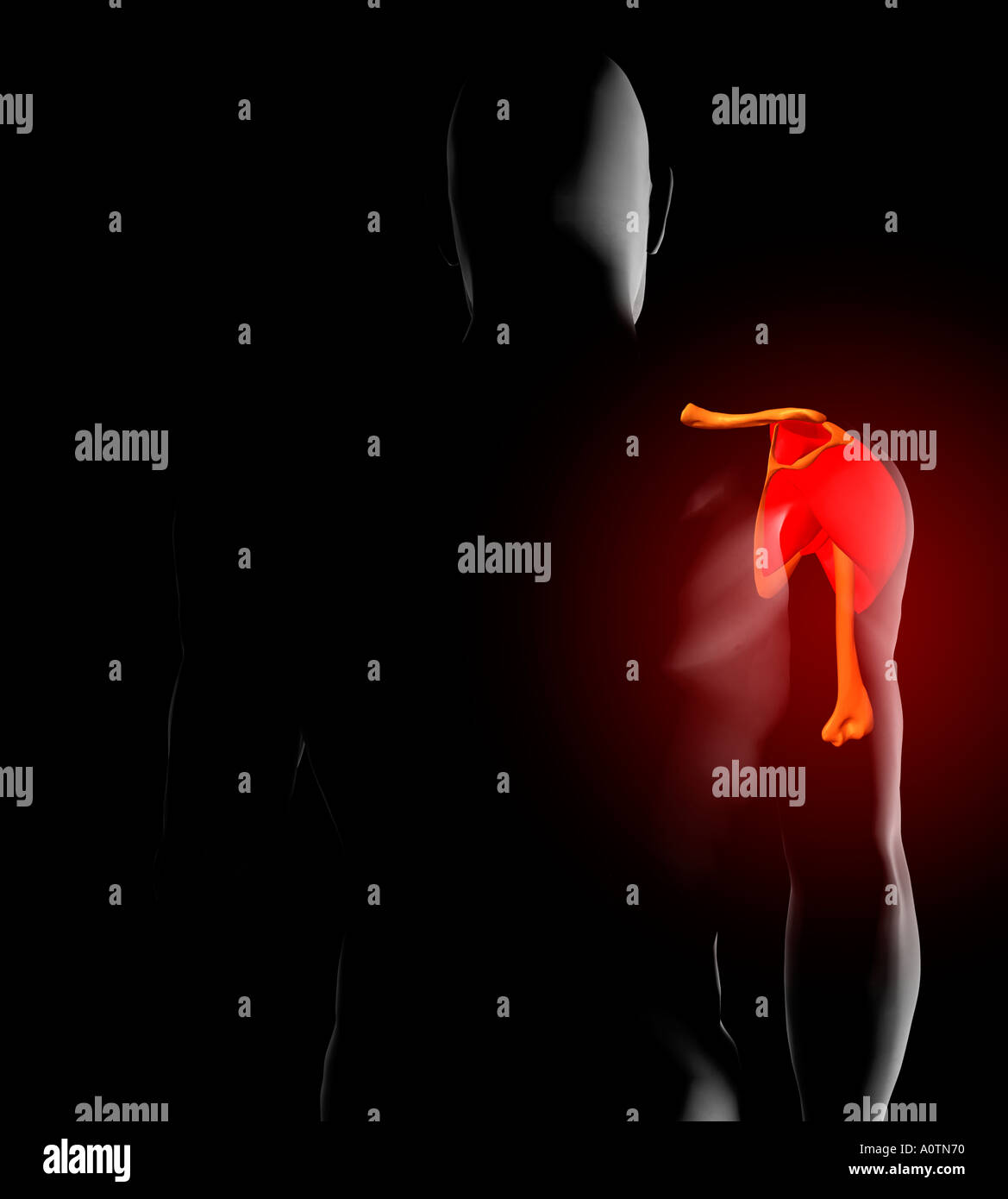 illustration of man and Shoulder Joint Stock Photo - Alamy