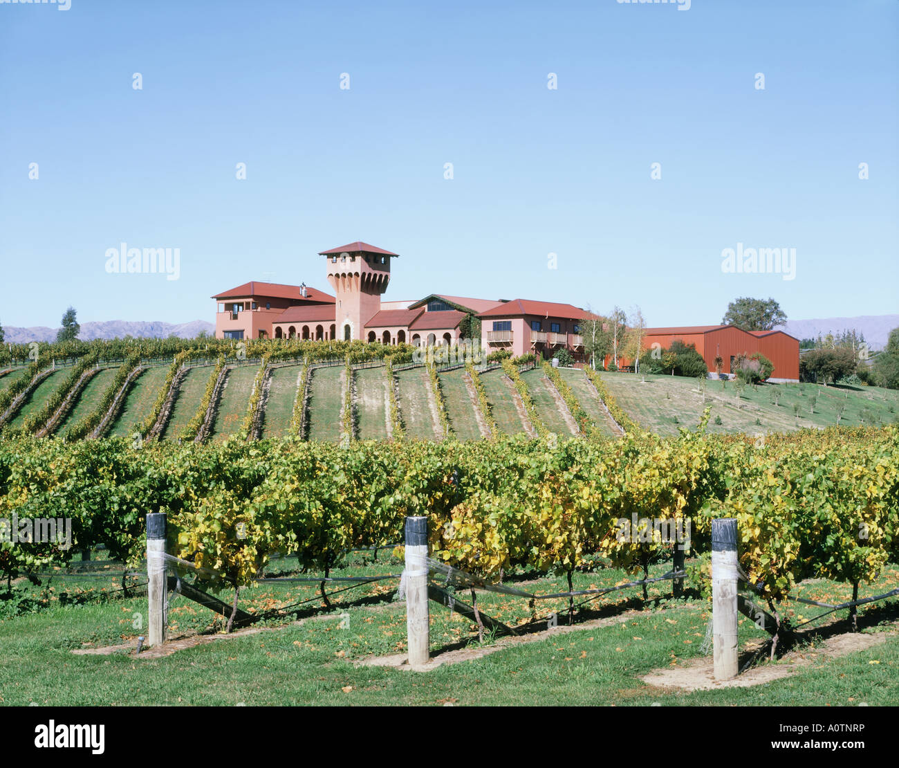 Highfield Estate Marlborough Stock Photo - Alamy