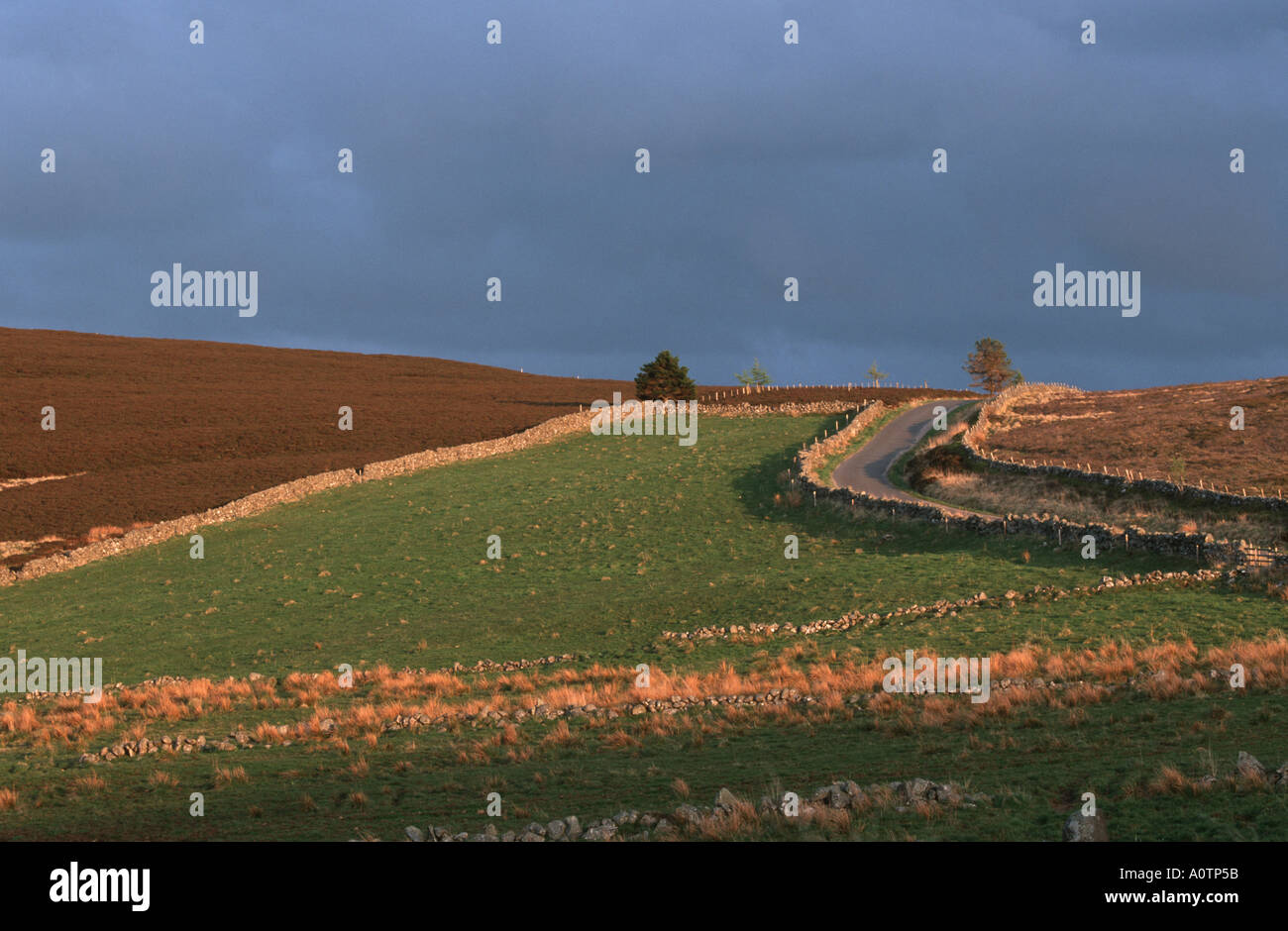 Angus Stone High Resolution Stock Photography and Images - Alamy