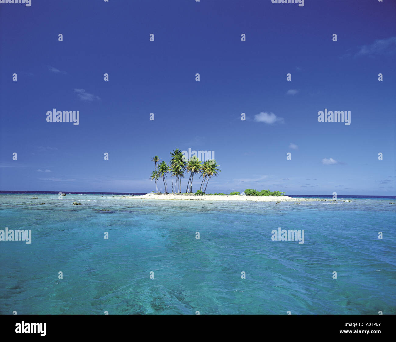 Palm tree isle Stock Photo - Alamy