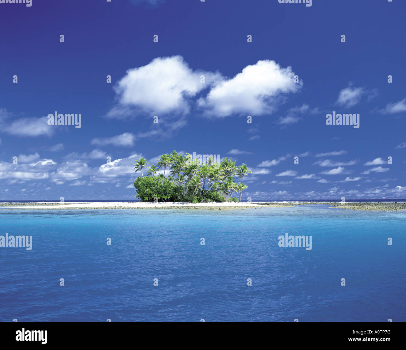 Palm tree isle Stock Photo - Alamy