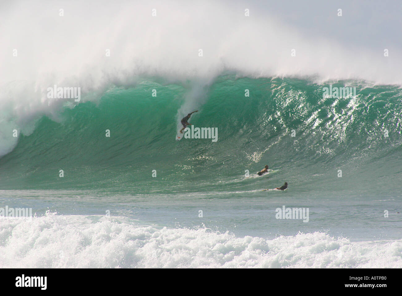 Surfer riding huge wave as it tubes Piepleine North Shore Oahu Hawaii ...