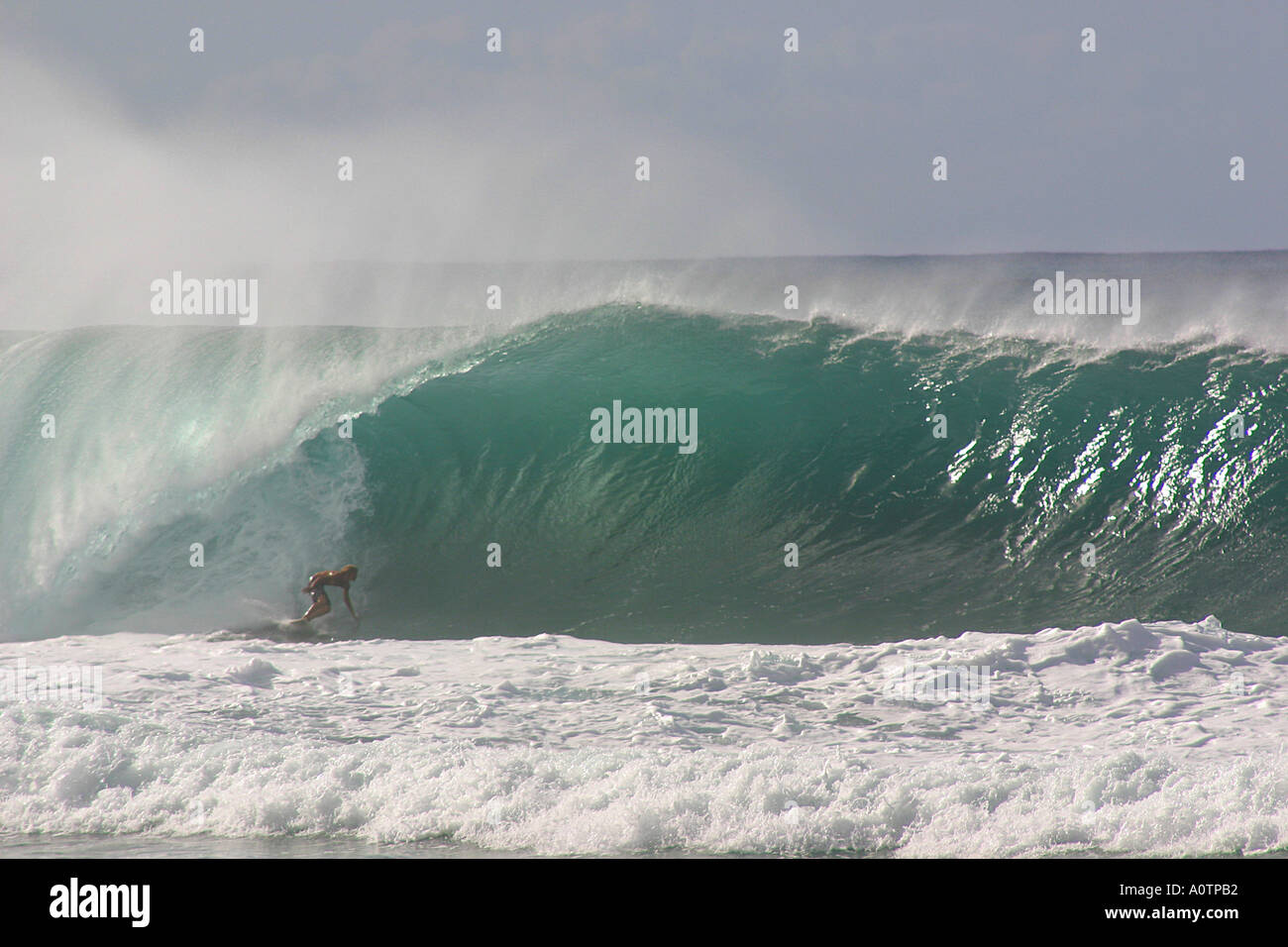 Surfer at bottom of massive wave as it tubes Pipeline North Shore of ...
