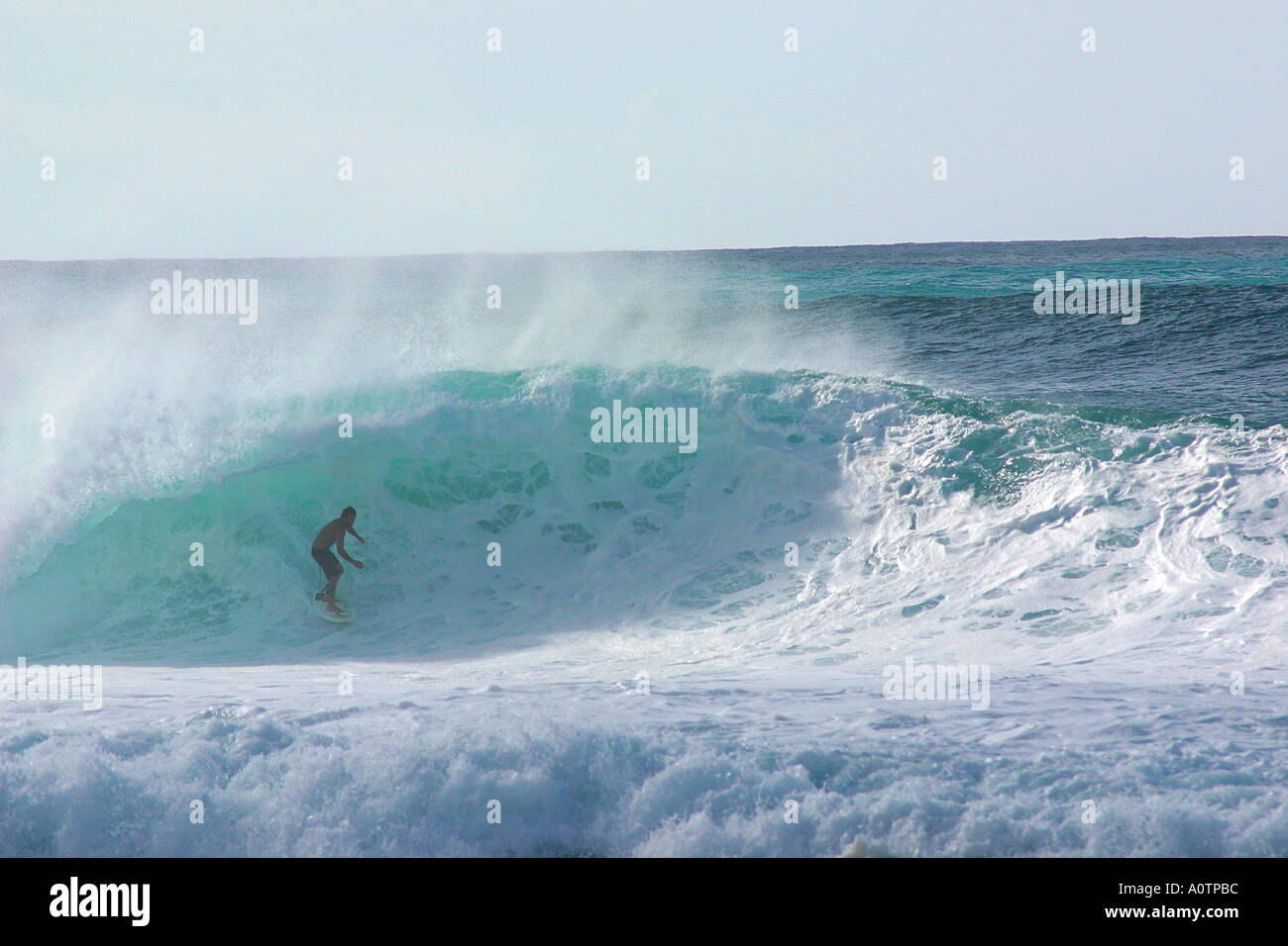 Surfer riding massive wave as it tubes Pipeline North Shore Oahu Hawaii ...
