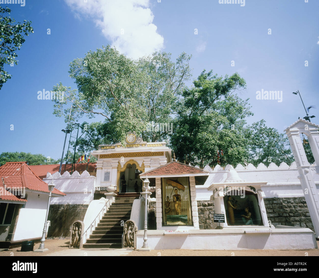 Sri Maha Bodhi Sacred Bo Tree World Heritage Stock Photo - Alamy