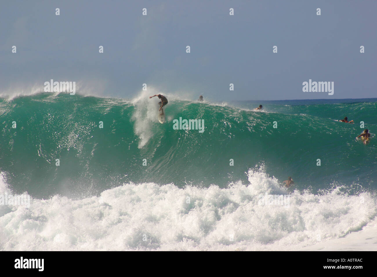 Surfer dropping in on massive wave Pipeline beach North Shore Oahu ...