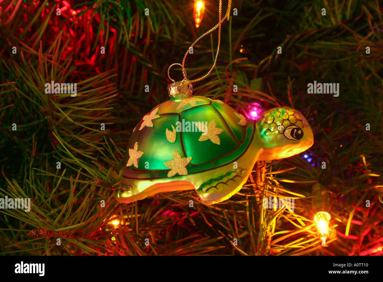 Painted hawaiian turtle Christmas ornament hanging on Christmas tree ...