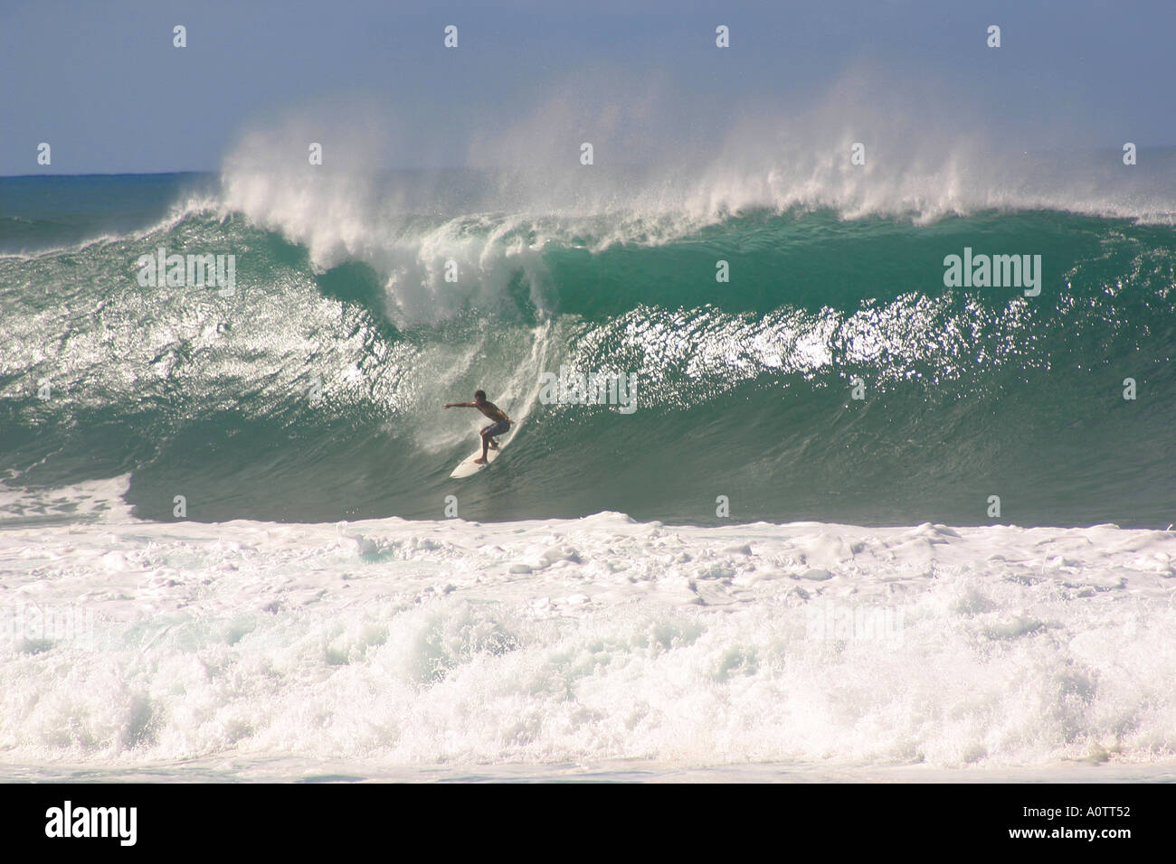 Surfer dropping in on massive wave Pipeline North Shore Oahu Hawaii ...