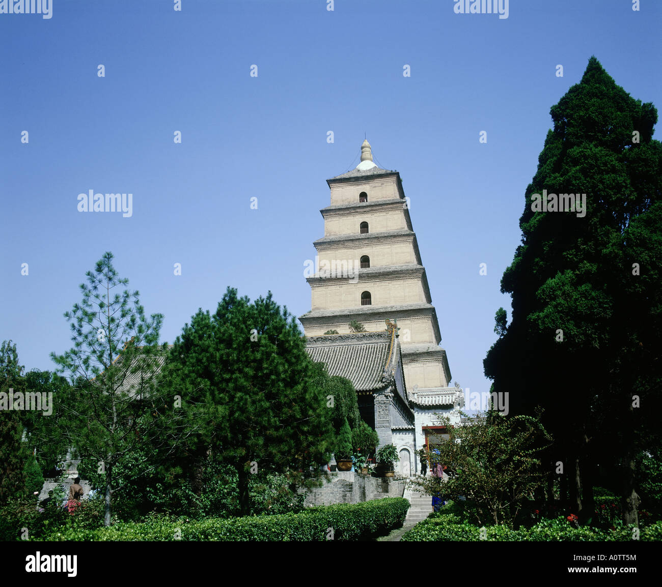 Dayanta hi-res stock photography and images - Alamy