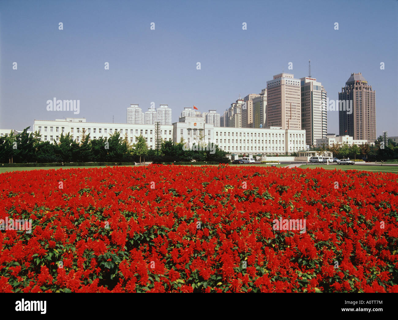 People s Square DaLian Stock Photo - Alamy