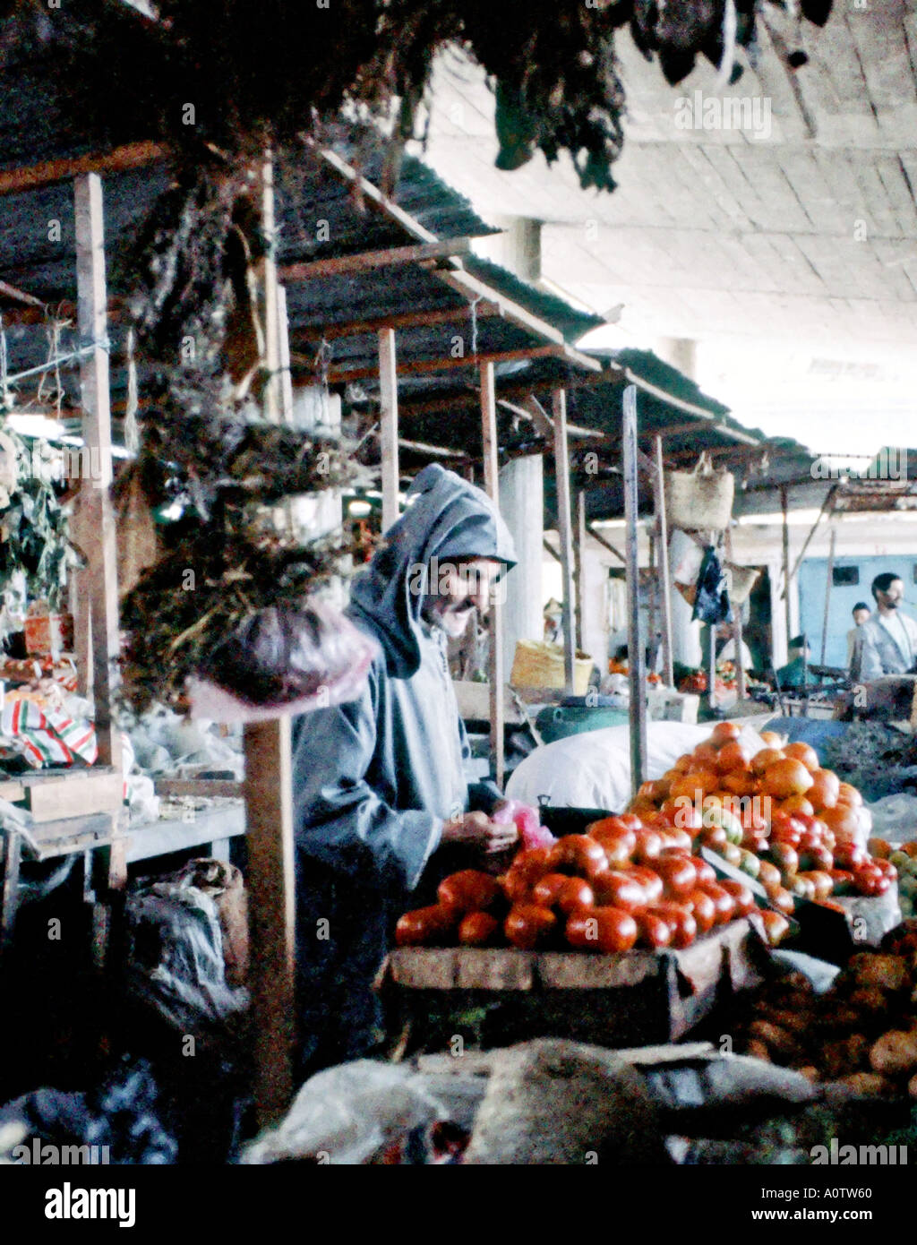 AFRICA MOROCCO TANGIER Berber man in traditional dress shopping for ...