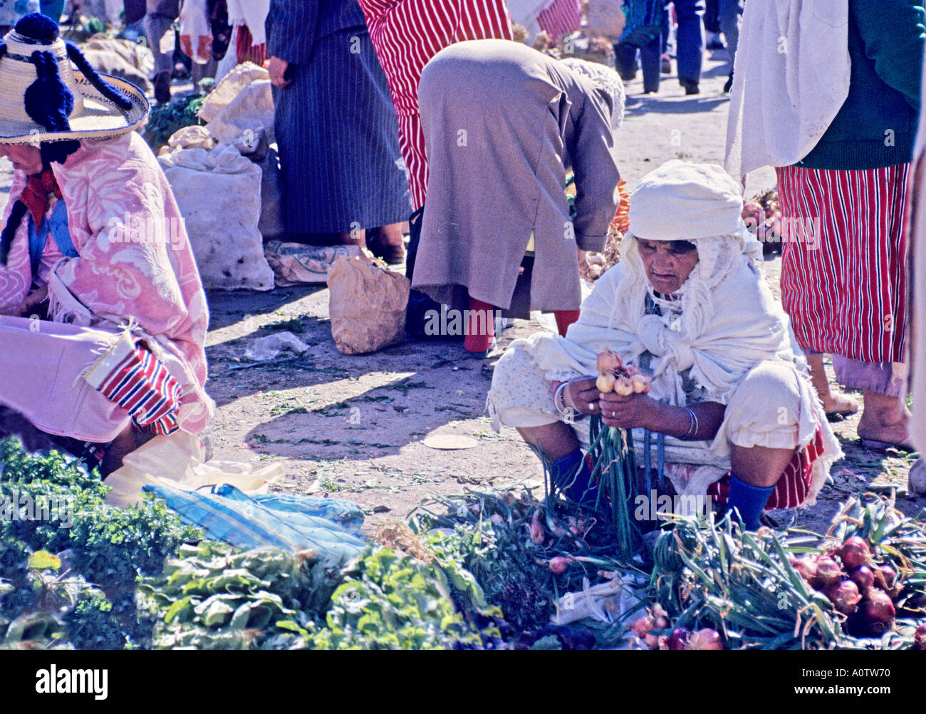 Berber vendors market tangier morocco hi-res stock photography and ...