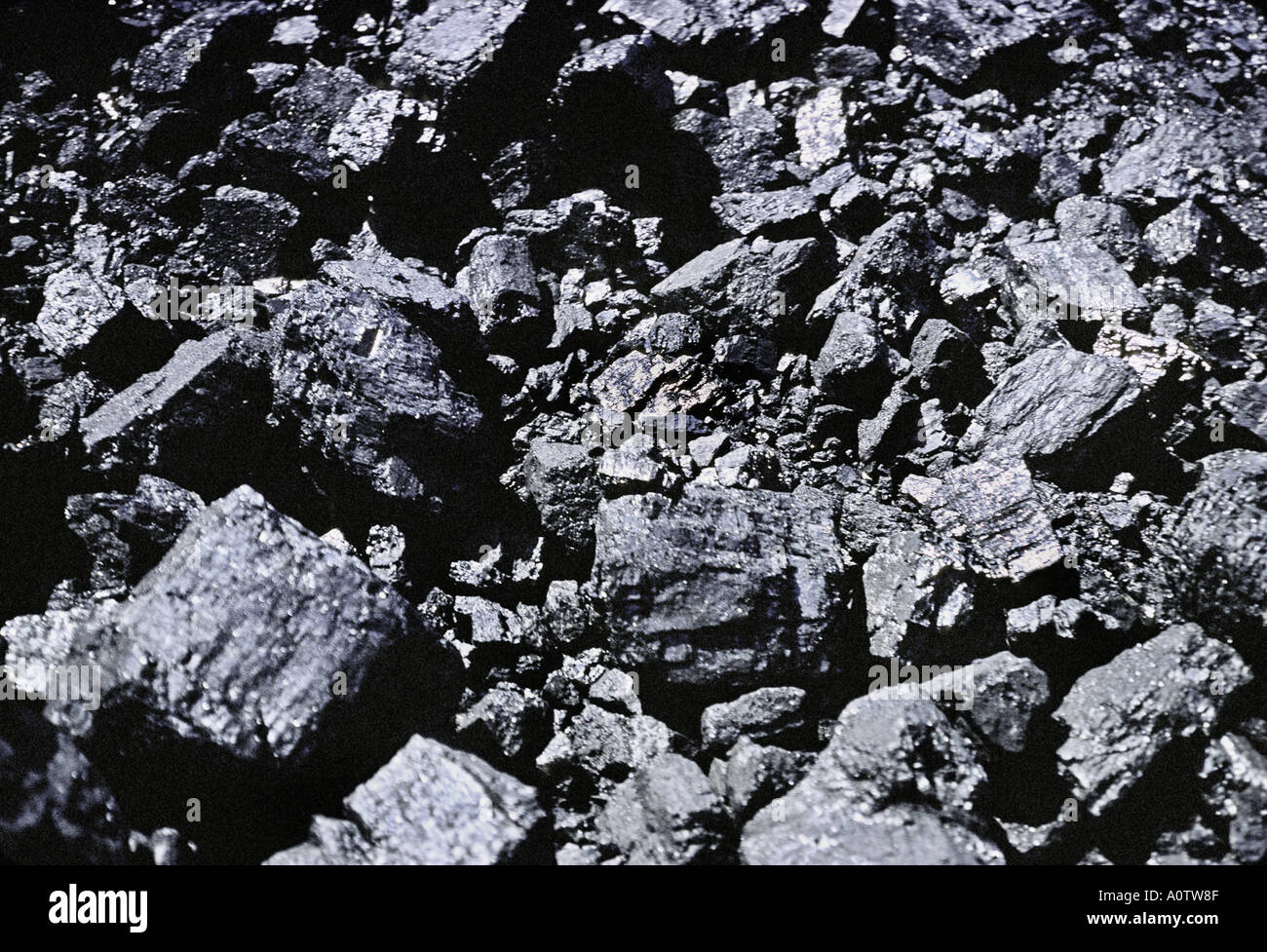 close-up still life Anthracite coal Stock Photo - Alamy