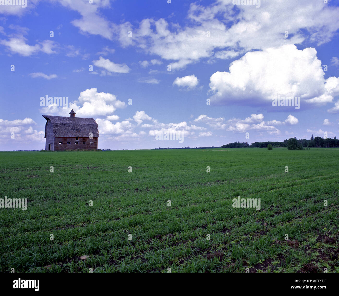 Prairie barn distance hi-res stock photography and images - Alamy