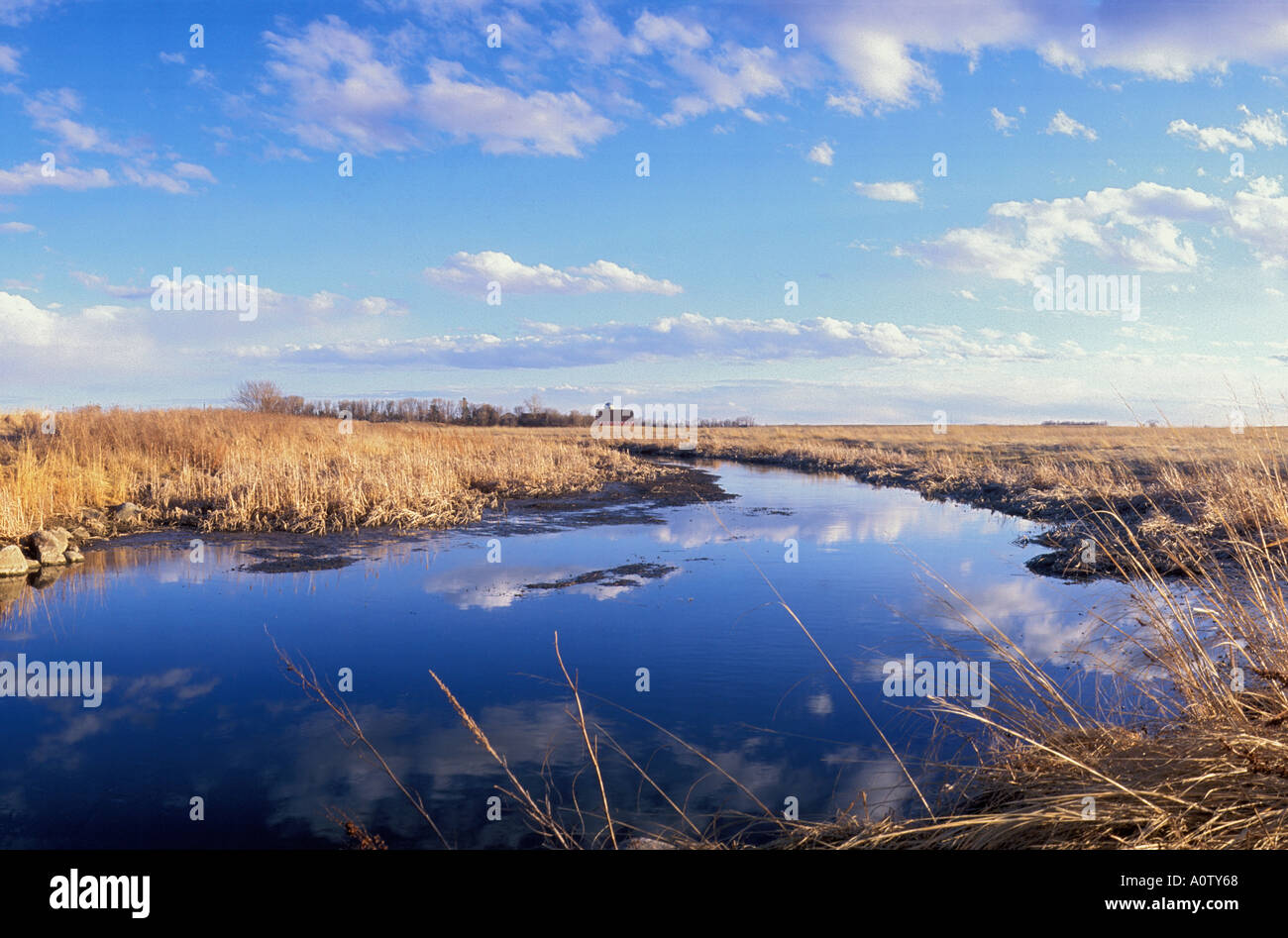 Prairie image hi-res stock photography and images - Alamy
