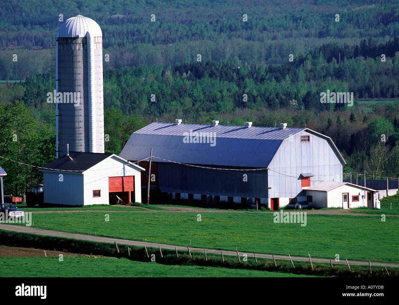 Barn and silo Quebec Canada Stock Photo - Alamy