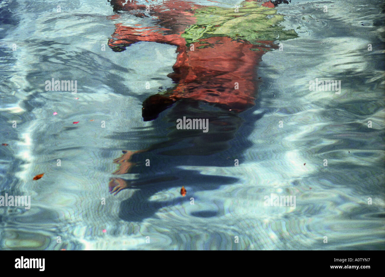 Young male swimming underwater in outdoor pool Stock Photo - Alamy