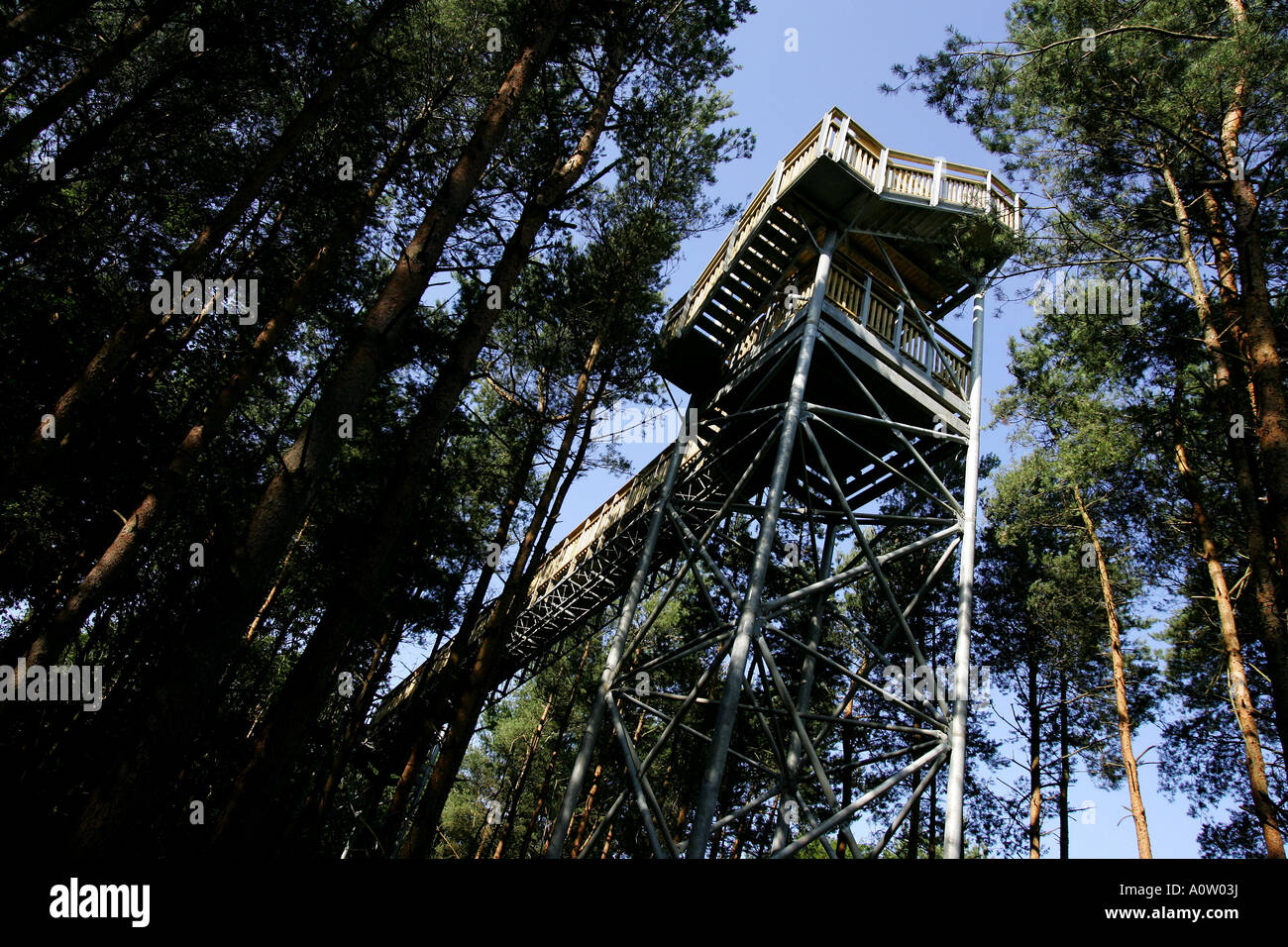 Salcey Forest High Resolution Stock Photography and Images - Alamy