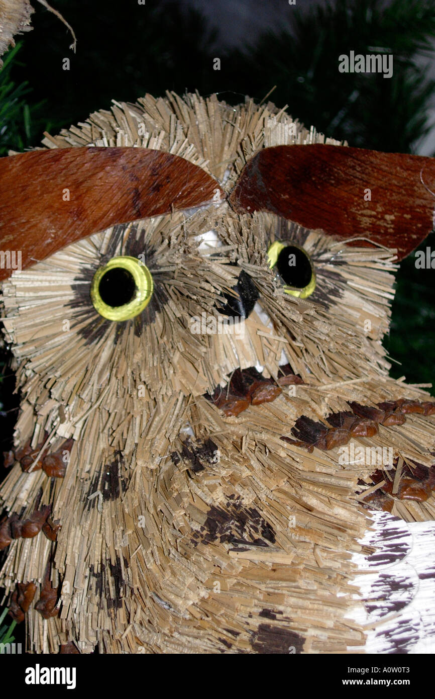 Soft owl hi-res stock photography and images - Alamy