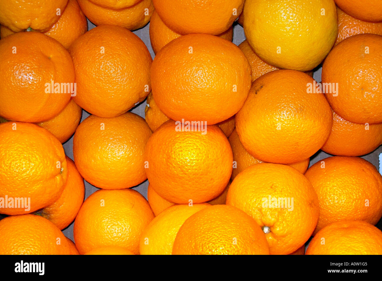 A boxfull of Oranges Stock Photo - Alamy