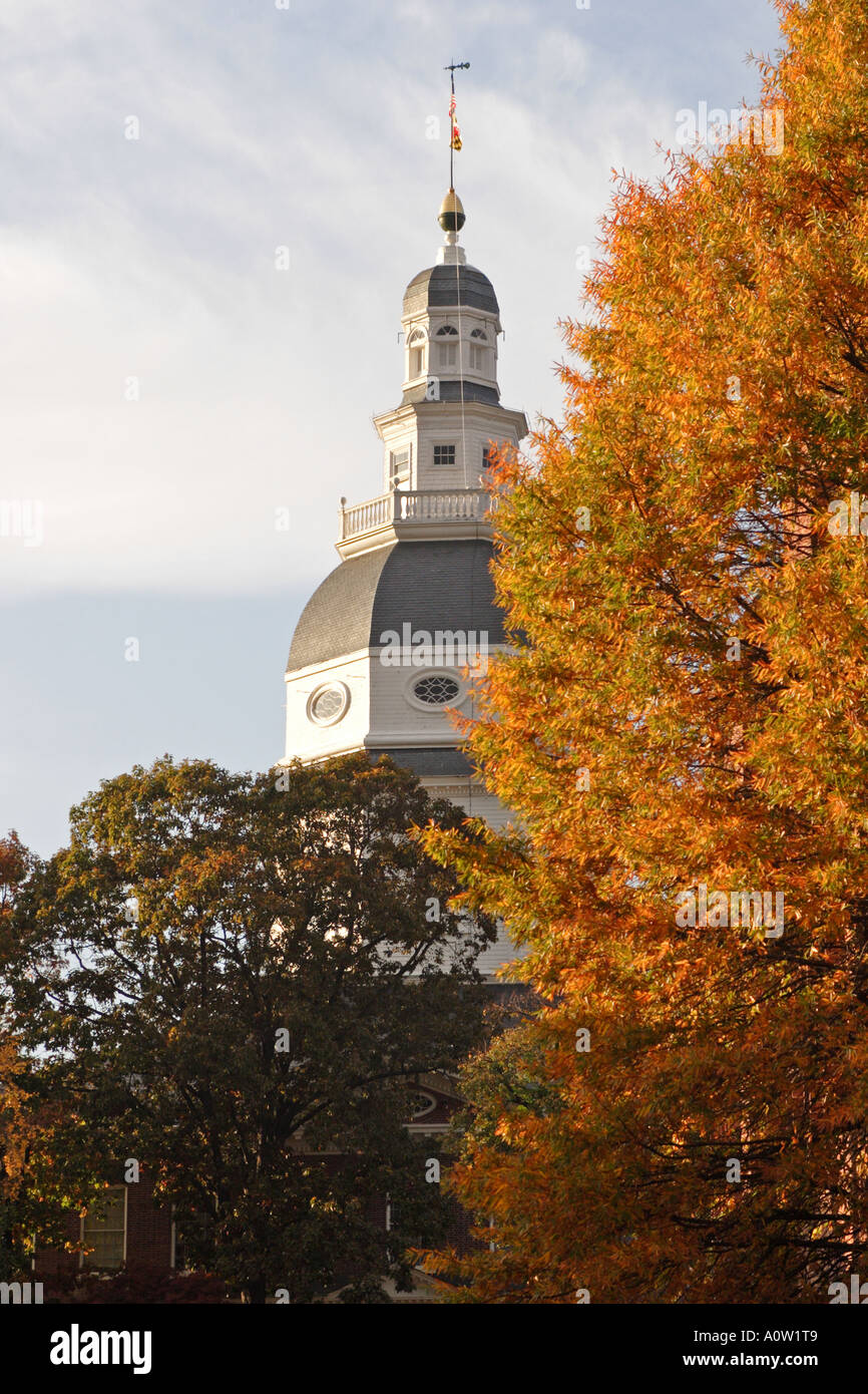Capitol Building and trees in fall, Annapolis, MD Stock Photo - Alamy