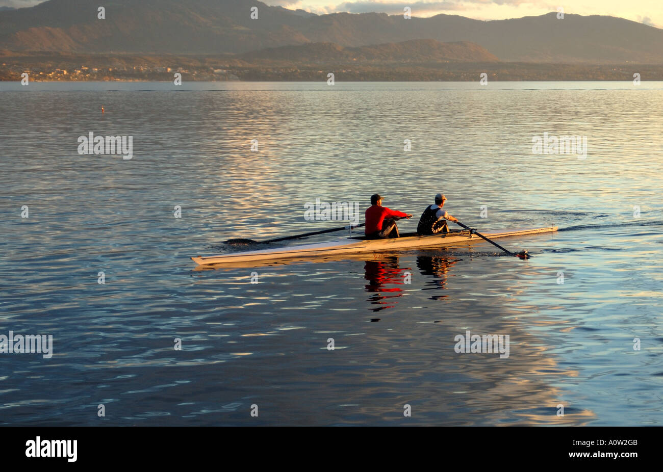 Shell leman hi-res stock photography and images - Alamy