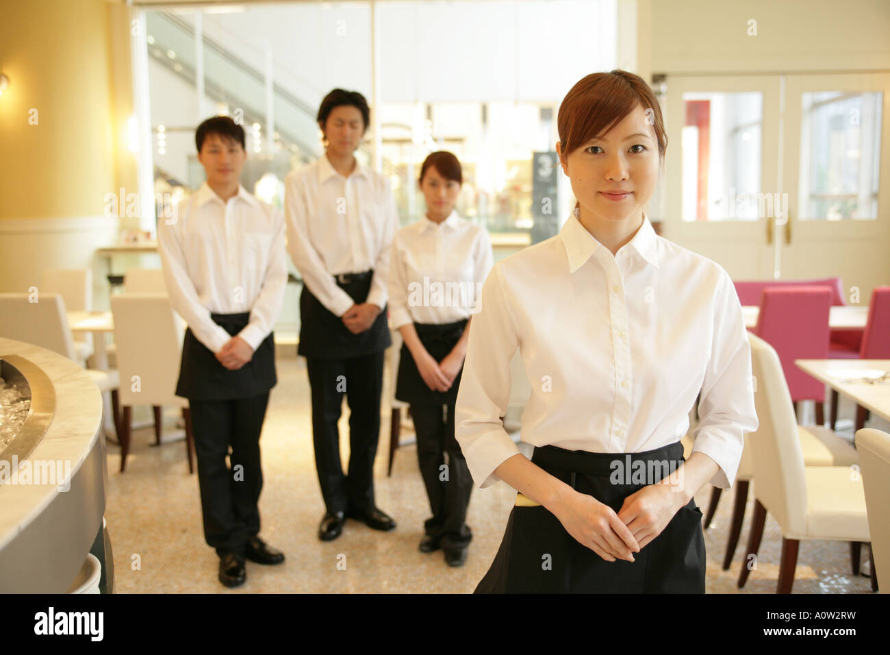 Portrait of two waiters and two waitresses standing in a restaurant ...