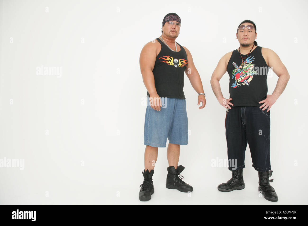 Portrait of two mid adult men standing together Stock Photo - Alamy