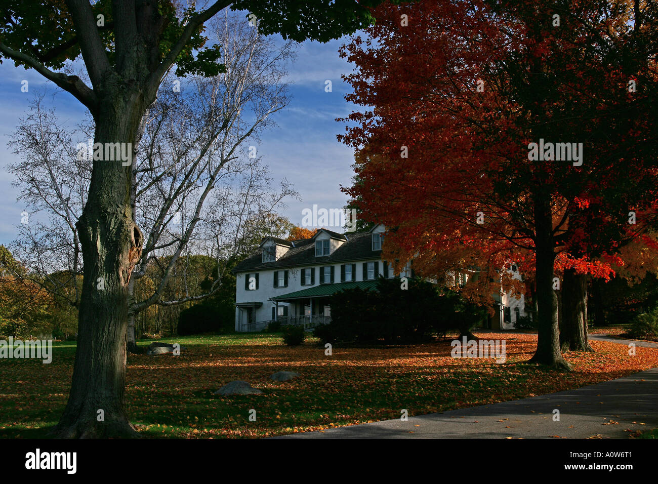 Springton usa hi-res stock photography and images - Alamy