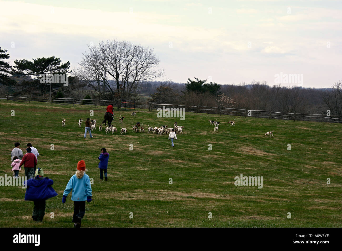 "Beginning the Hunt Stock Photo - Alamy