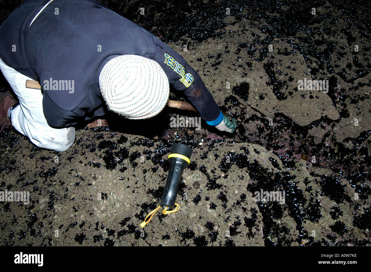 Popular spanish barnacle hunters called Percebeiros looking for the ...