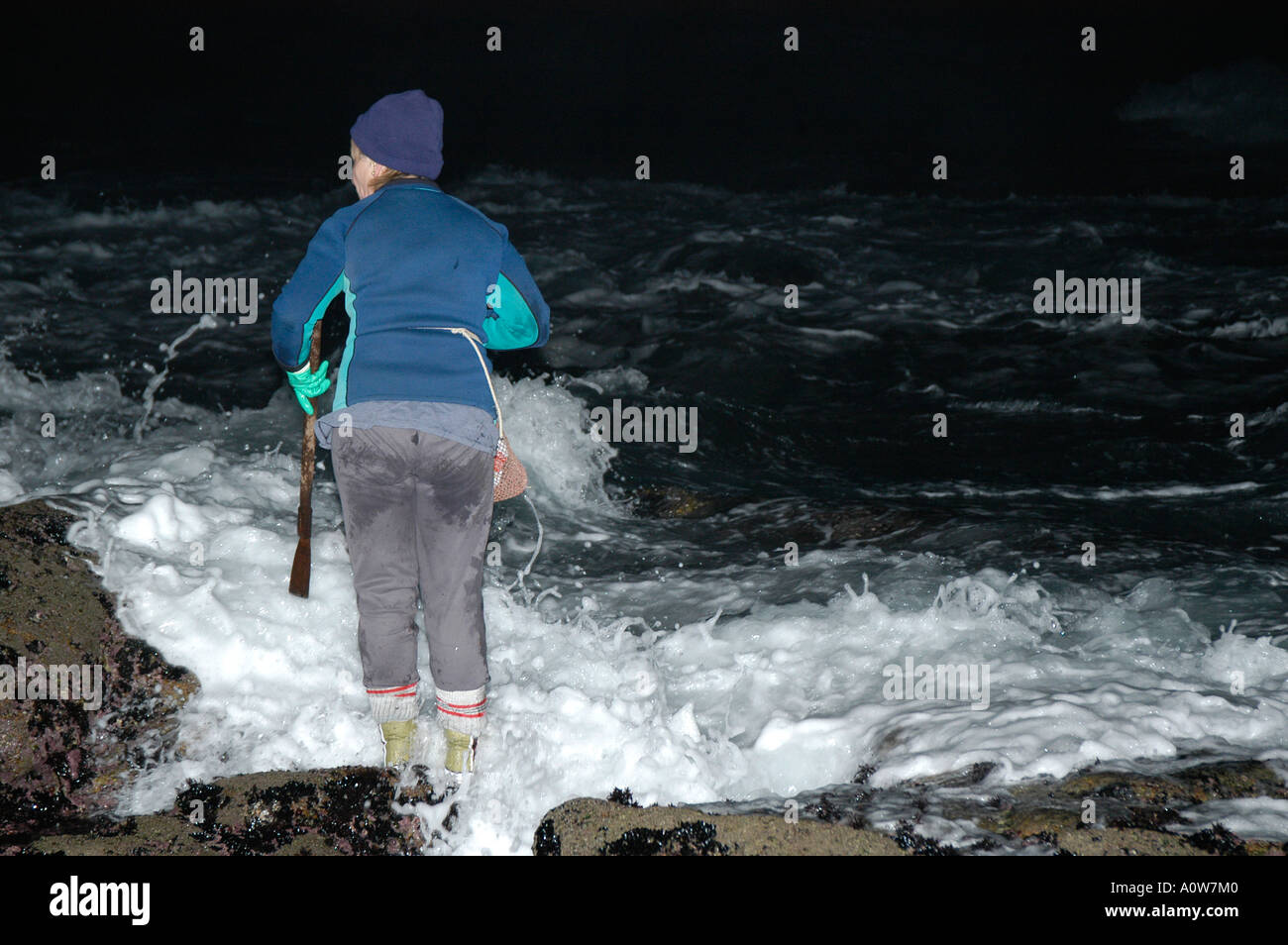 Popular spanish barnacle hunters called Percebeiros looking for the ...