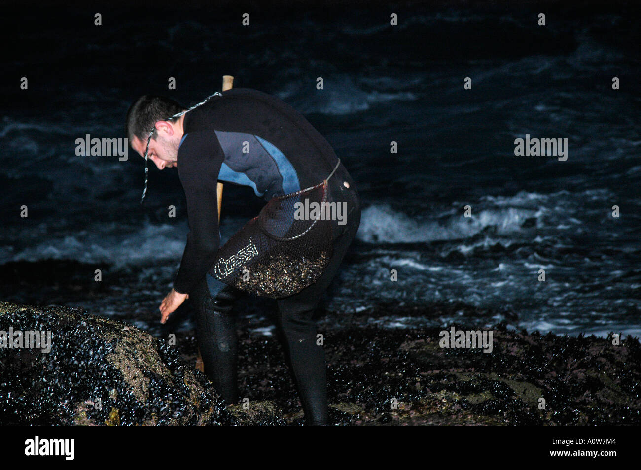 Popular spanish barnacle hunters called Percebeiros looking for the ...