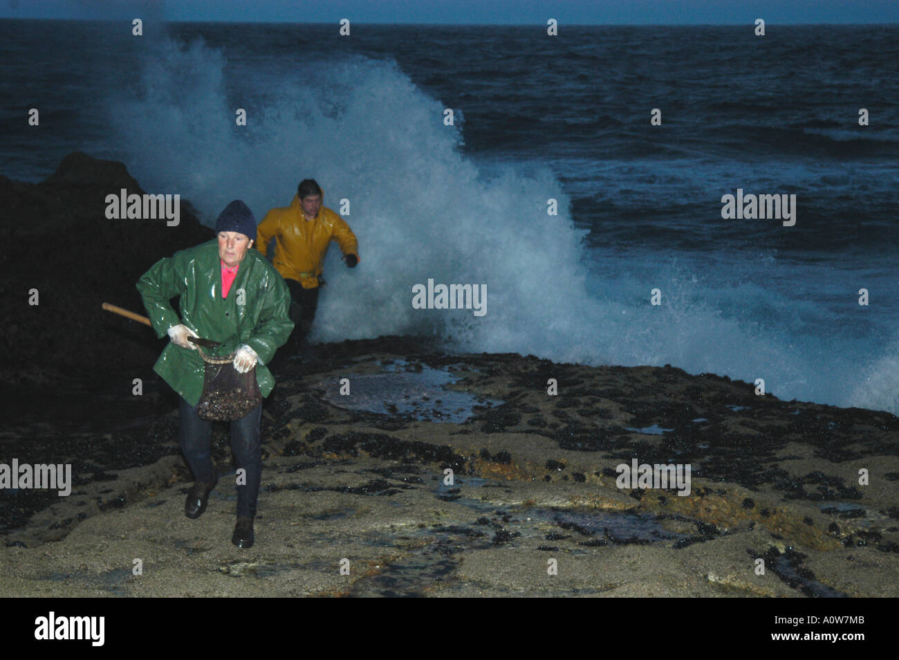 Popular spanish barnacle hunters called Percebeiros looking for the ...