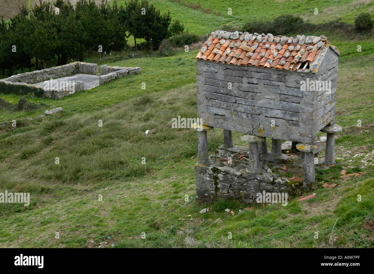 An horreo or cabazo a typical construction of Galicia Spain Stock Photo ...