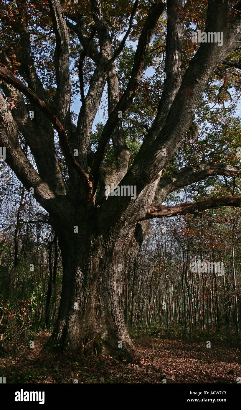 Perkiomen Trail High Resolution Stock Photography and Images - Alamy
