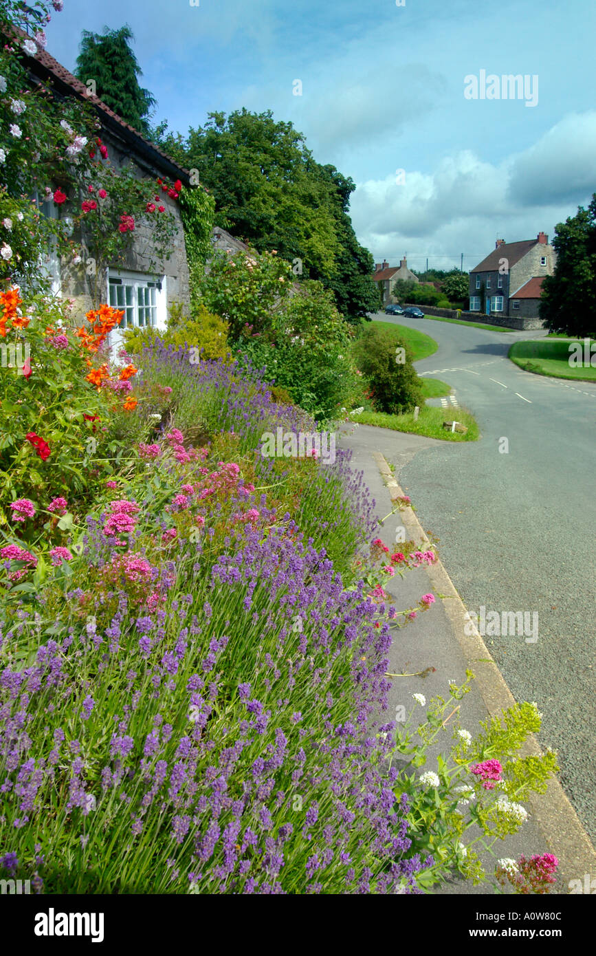 Lockton Village North York Moors National Park North of Pickering Stock ...