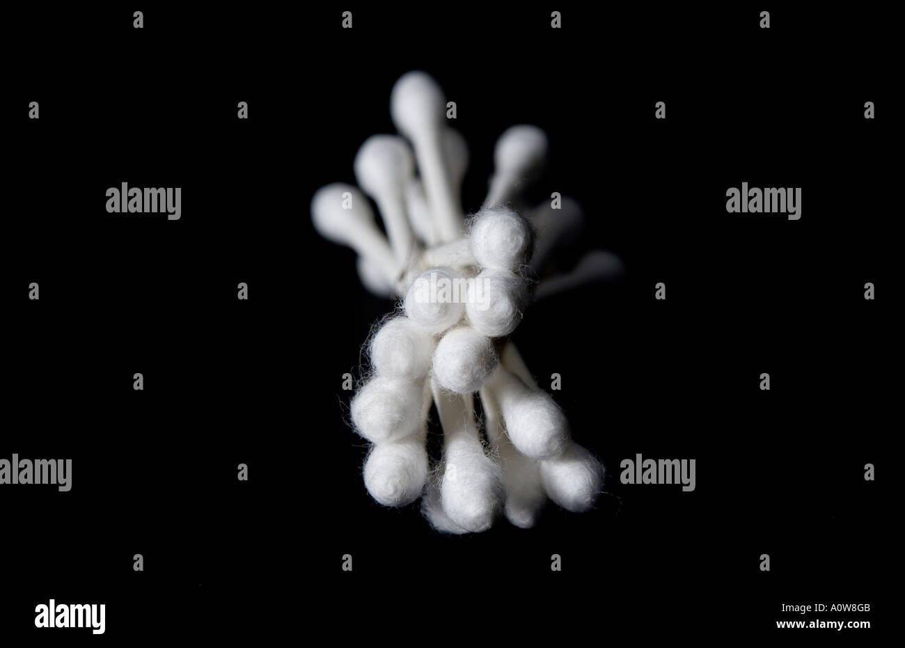 Cotton tips cotton swabs Stock Photo - Alamy