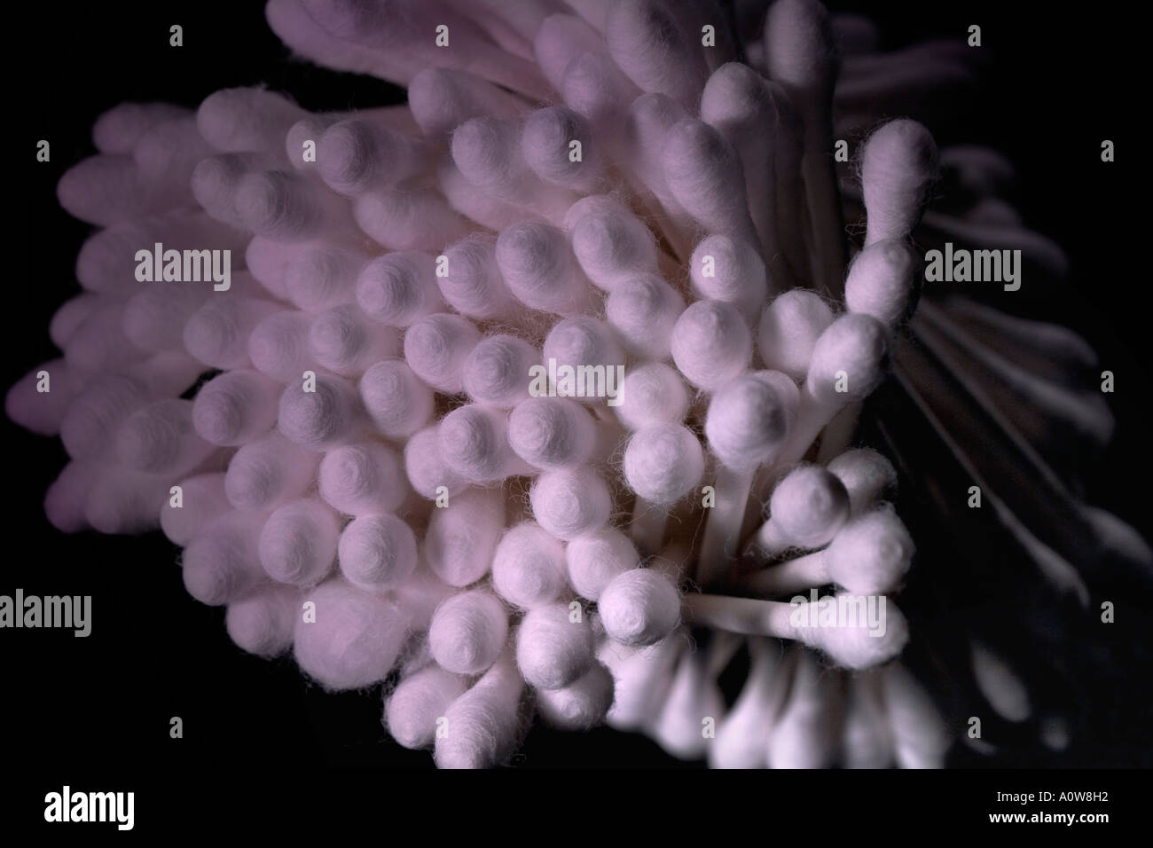 Cotton tips cotton swabs Stock Photo - Alamy