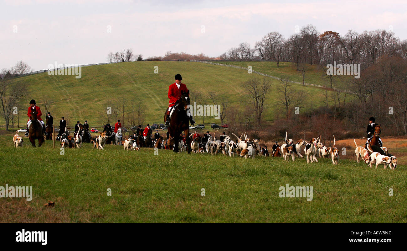 Houndsman and the Hounds Stock Photo - Alamy