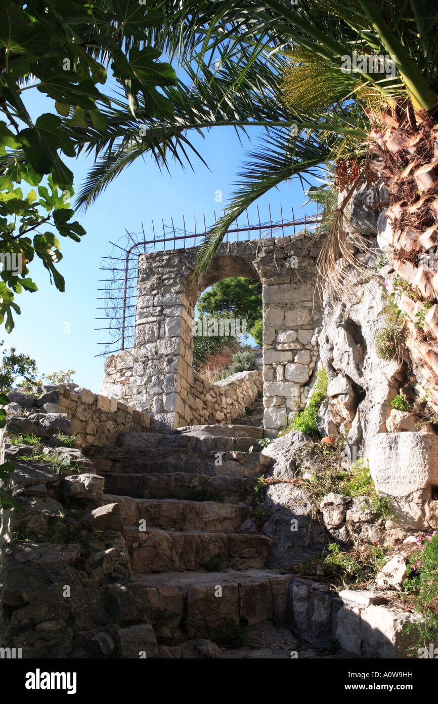 Mirabella omis hi-res stock photography and images - Alamy