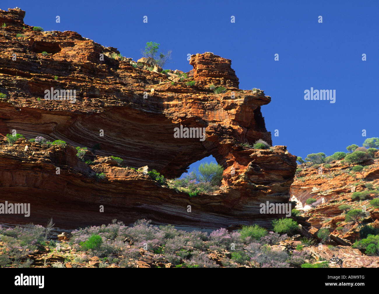 Arch, Kalbarri National Park, Australia Stock Photo - Alamy