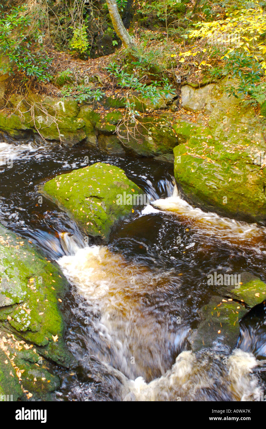 Bushkill creek hi-res stock photography and images - Alamy