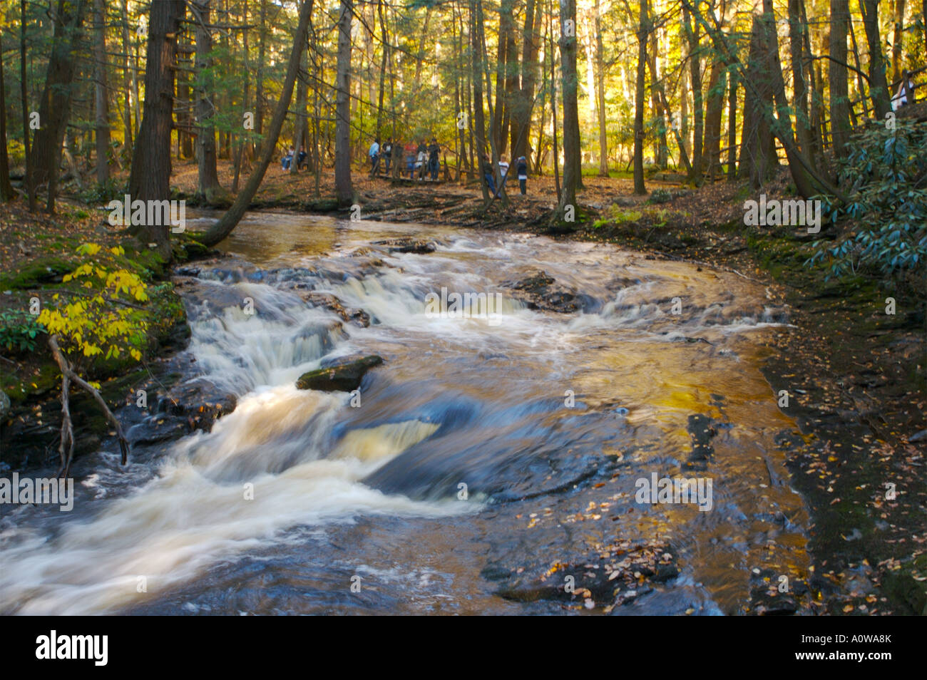 Bushkill Falls, Pennsylvania, USA Stock Photo - Alamy