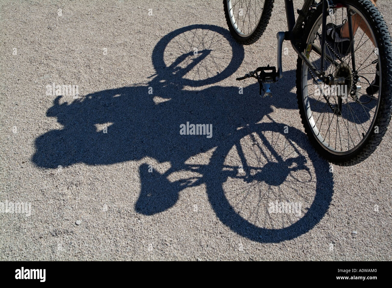 Bike shadow provence hi-res stock photography and images - Alamy