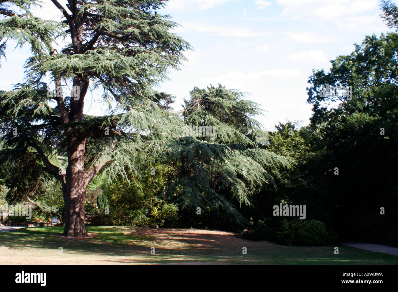 Rookery London High Resolution Stock Photography and Images - Alamy