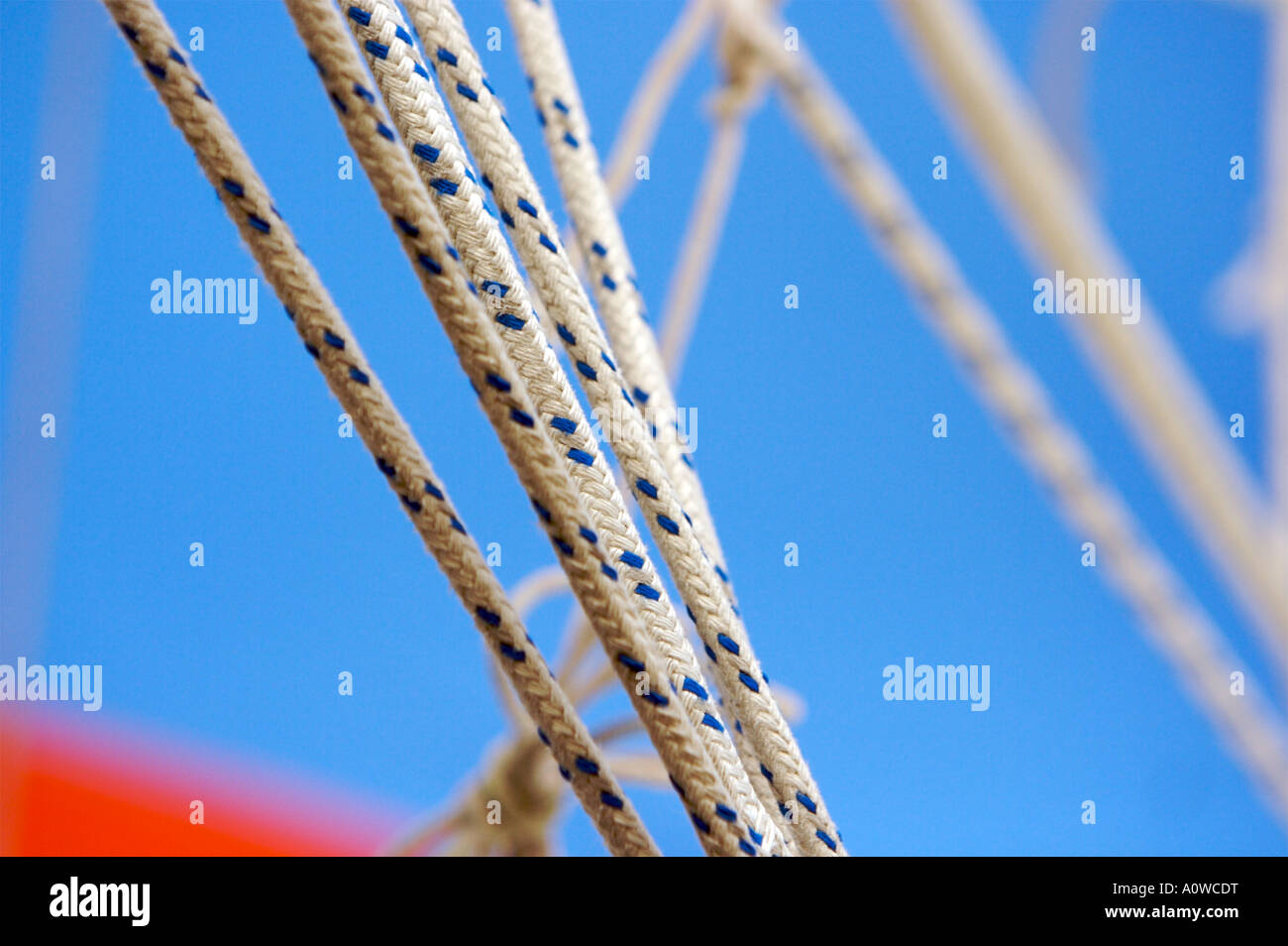 Yacht ropes close up, against blue sail Stock Photo - Alamy