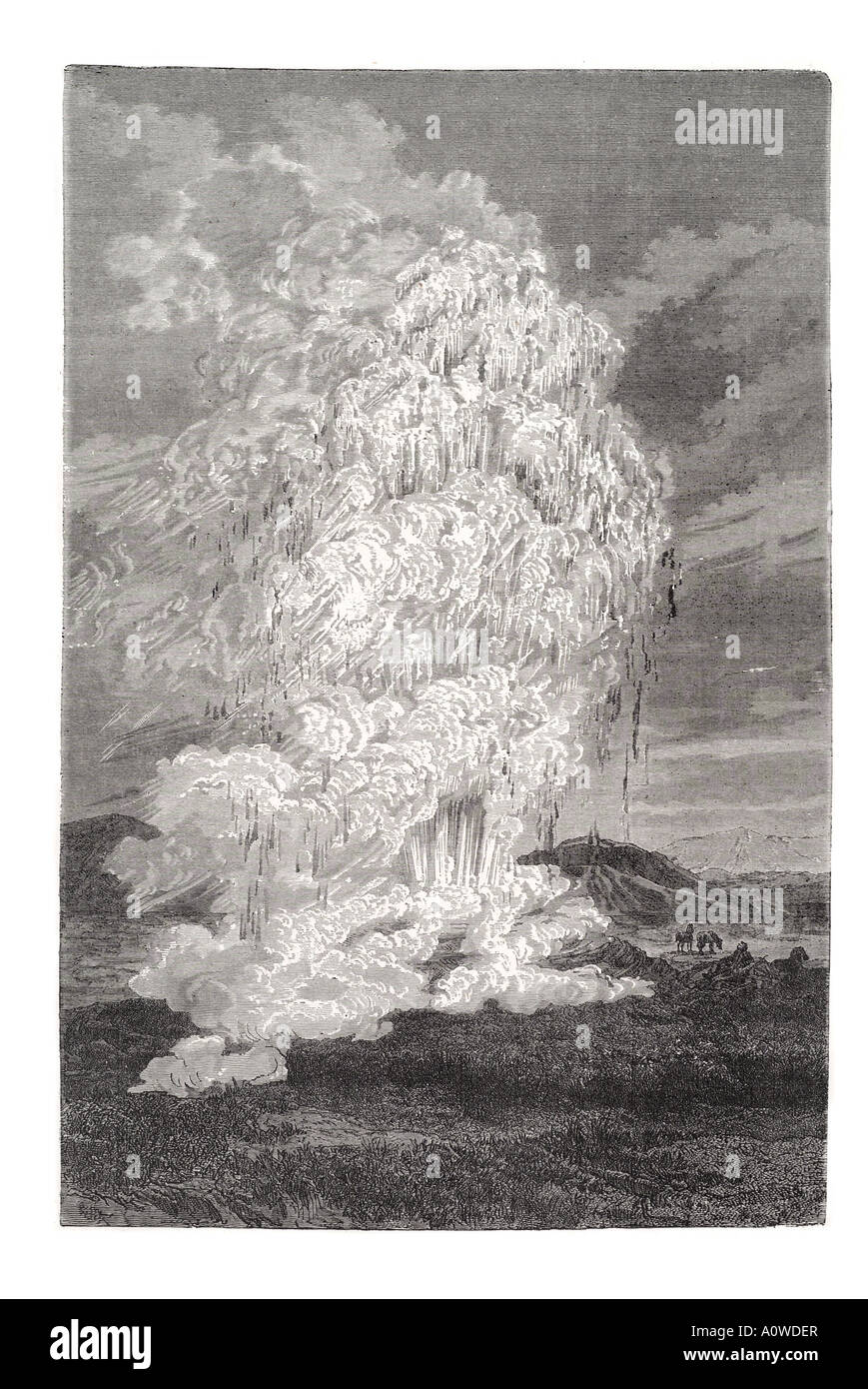 Geyser erupting eruption erupt steam hot pressure natural wonder ...