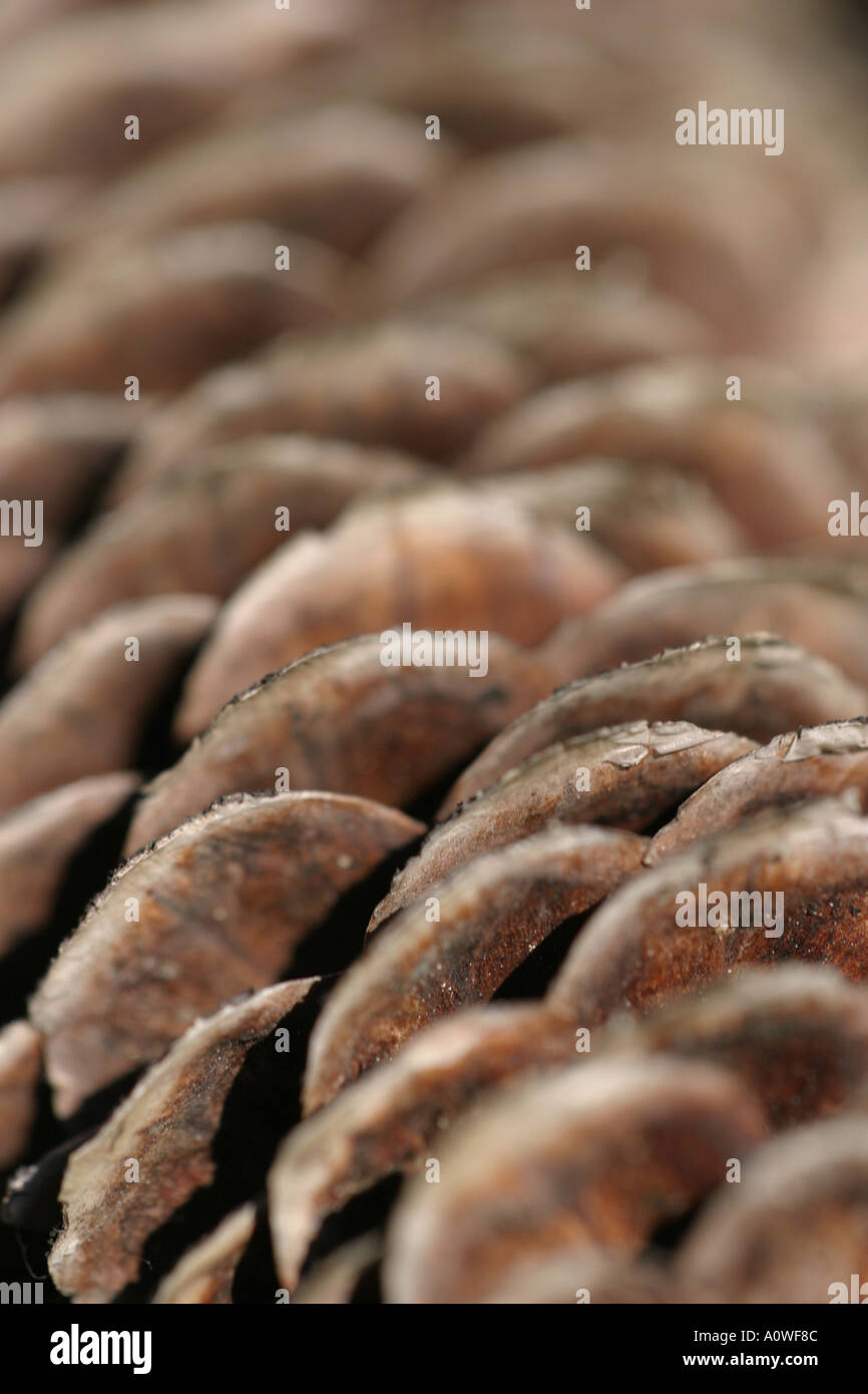 Tactile grooves hi-res stock photography and images - Alamy